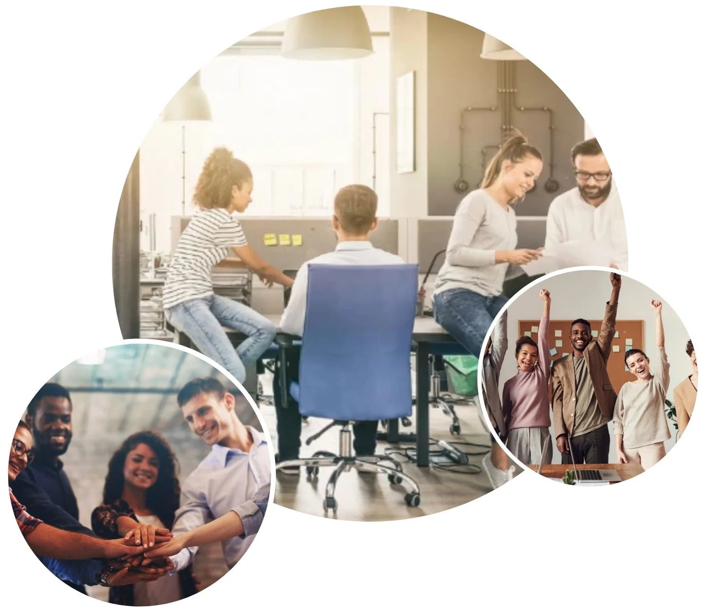 Organizational Culture Assessment Tools and Resources